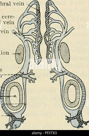 This anatomy textbook provides detailed diagrams and descriptions of ...