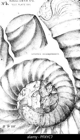 This dictionary compiles fossil records and findings from Pennsylvania ...