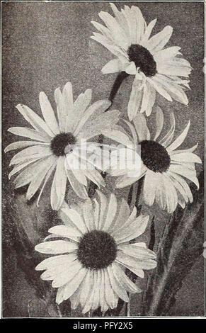 Currie's Farm and Garden Annual catalog for 1922, featuring a wide ...