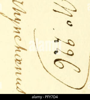 A detailed study on the Curculionidae family of beetles, including ...