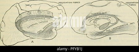 In this image taken through a plane window, part of Chugach National ...