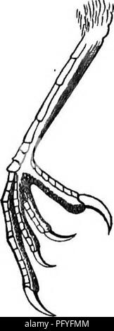 This field guide provides concise accounts of all known North American ...