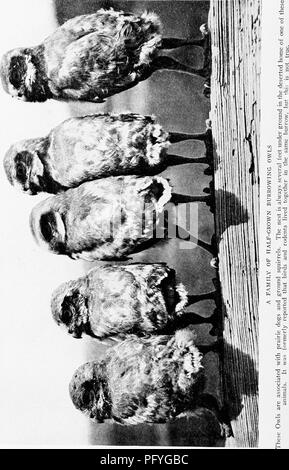 This article from National Geographic discusses the transformations in ...