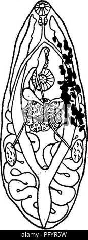 This text focuses on the biology of freshwater organisms, detailing the ...