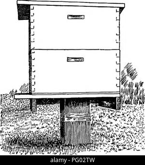 This book discusses the life cycle of honeybees, their behavior, and ...