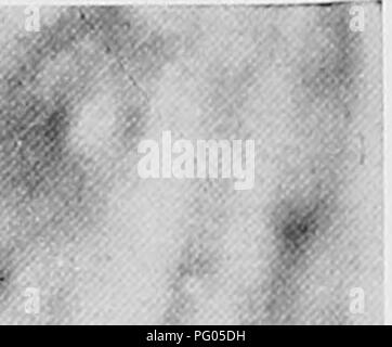 An overview of the Uganda Protectorate, covering its geography, flora ...