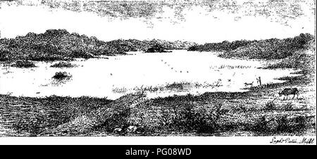 Three Common House Sparrows in Stainton Quarry Nature Reserve in ...