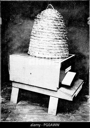This guide for Irish beekeepers provides instructions on packing bee ...