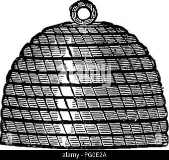 Different types of bee hives in display Stock Photo - Alamy