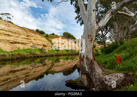 Onkaparinga River on a sunny day with reflections of trees and cliffs ...