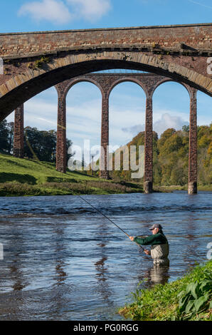 Leaderfoot Viaduct and Drygrange Old Bridge, canoes, water sports ...