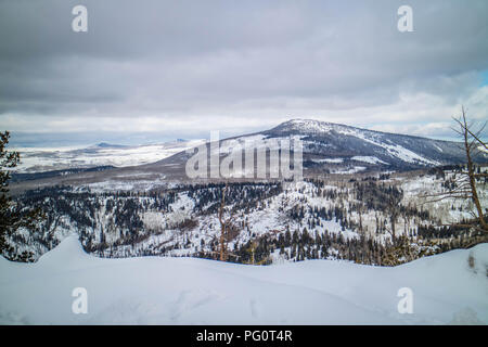 A beautiful view of forestal landscape in Cedar Breaks National ...
