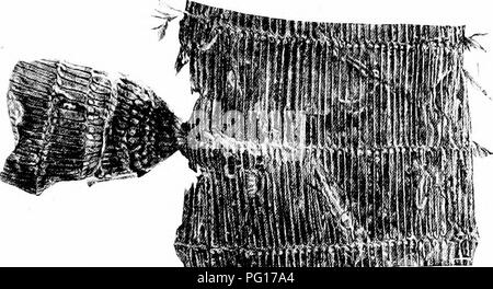 . Studies in fossil botany . Paleobotany. THE STEM OF CALAMITES 21 wood ...