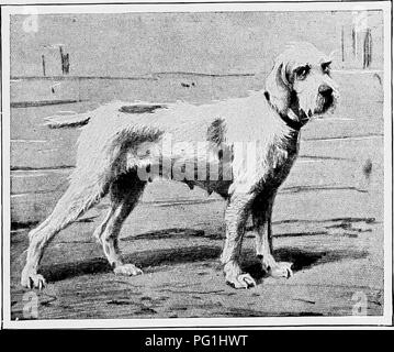 IN THE KENNEL, 1870 Stock Photo - Alamy