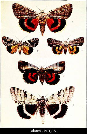 This book introduces the study of animal activities and behavior ...