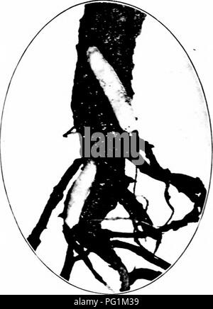 This image depicts the identification and control methods for leaf ...