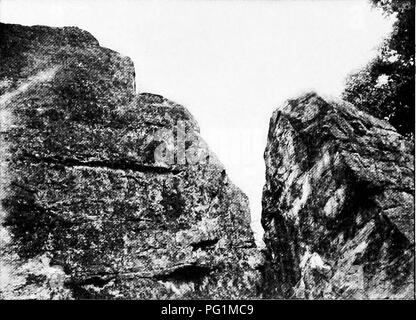 old exposed roots with rocks from a tree that was uprooted in the ...