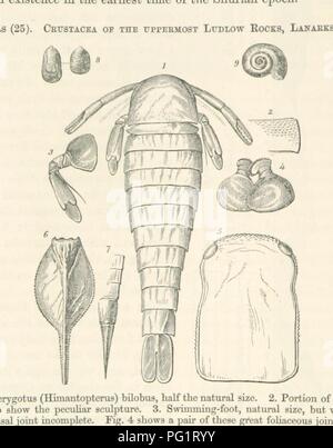 Image from page 212 of 'Our Earth and its Story a popular treatise on ...