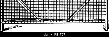 This work discusses the cultivation of corn crops including maize ...