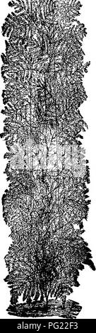 A reference guide on general horticulture and plants, with a focus on ...