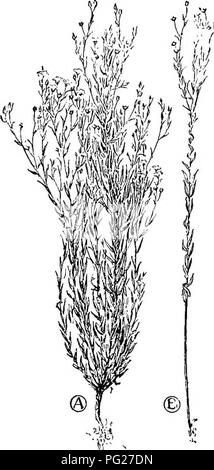 This introductory botany book covers the basic principles of plant ...