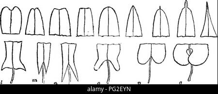 This class-book provides an outline of plant structure, physiology, and classification, along ...