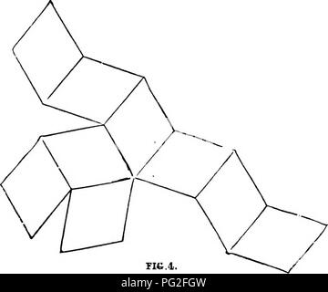 This illustration from 'Homes Without Hands' depicts the complex and ...