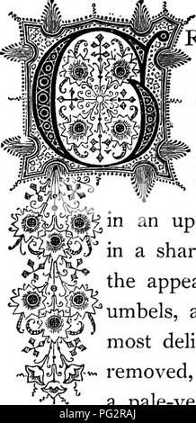 This reference work provides over three hundred plant species ...