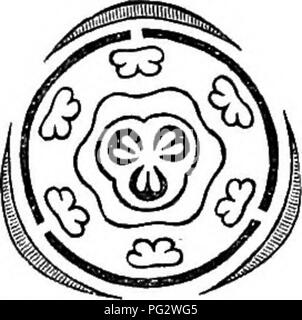 . The natural history of plants. Botany. 274 NATURAL HISTOBT OF PLANTS ...