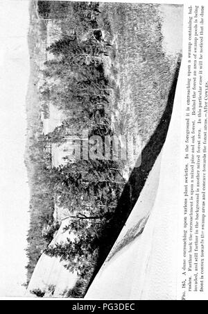 An introductory botany text by John Merle Coulter, exploring basic ...