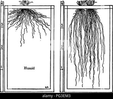 This book explores dry-farming methods suitable for regions with low ...