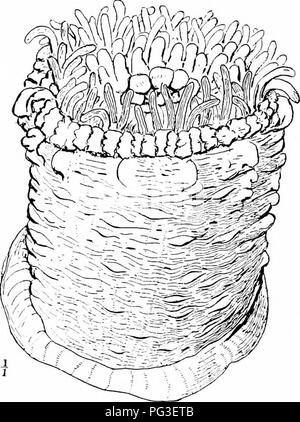 The Canadian Arctic Expedition (1913-1918) explored northern Canada ...