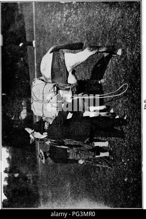 This military manual outlines the use of mules for pack transportation ...
