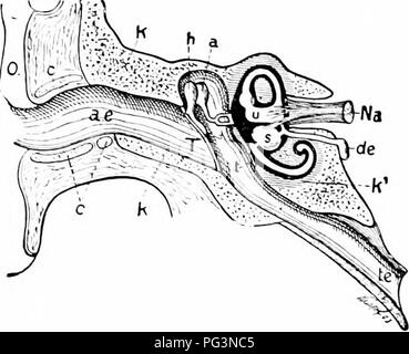 This manual provides a detailed overview of human embryology, covering ...