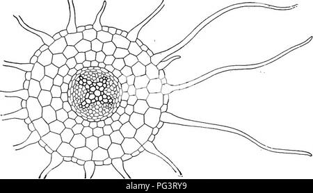 Cross -section in the central axis of the museum building ". Technical ...