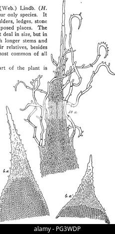 This guide provides non-technical descriptions of common moss species ...