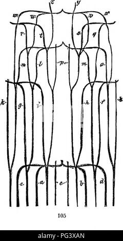 . Physiological botany; I. Outlines of the histology of phænogamous ...