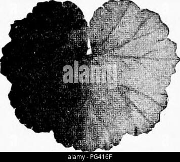 Leaf starch test on leaves that have been kept in the dark (right) and ...