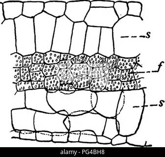. Botany for agricultural students . Botany. 24 FLOWERS banner; the two ...