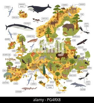 Flat European flora and fauna map constructor elements. Animals, birds ...