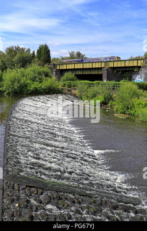 A Northern train crossing a viaduct by the River Don at Sanderson's ...