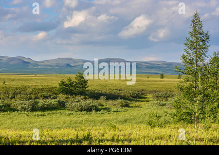 Foothill tundra. Natural Park of the Polar Urals in Russia Stock Photo ...