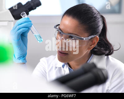 Biotechnology Research, female scientist mixing a chemical formula ...