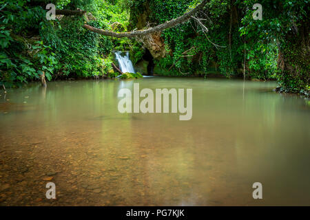 View to pond and small flowing waterfall in green forest in long ...