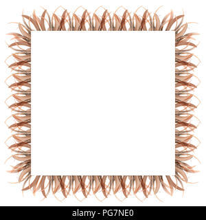 Dipterocarpus Alatus Flower on white background Stock Photo - Alamy