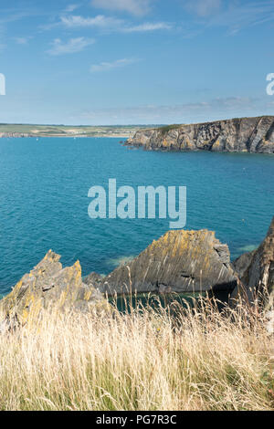 Newport is a pretty coastal town on the mouth of the river Nevern. It ...