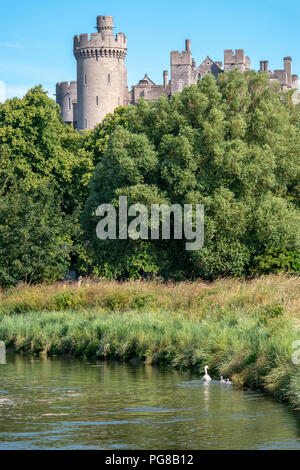 The River Arun with Arundel Castle just visible in the middle ...