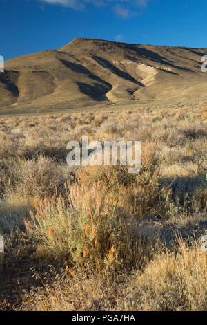Flat Top Butte, Sheldon National Wildlife Refuge, Nevada Stock Photo ...