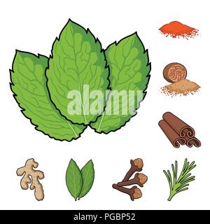 Herb and spices cartoon icons in set collection for design.Different ...