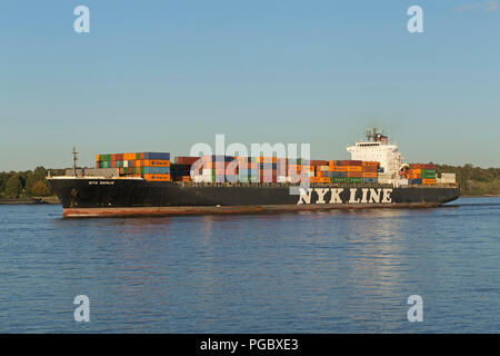 container ship Nyk Remus, Finkenwerder, Hamburg, Germany Stock Photo ...